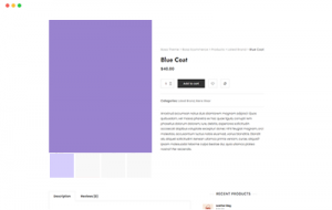 Shoppable Pro – Bosa Themes