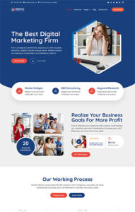 Themes – Bosa Themes